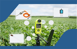 How to Use Temperature Sensors in Agriculture | DTTTEK