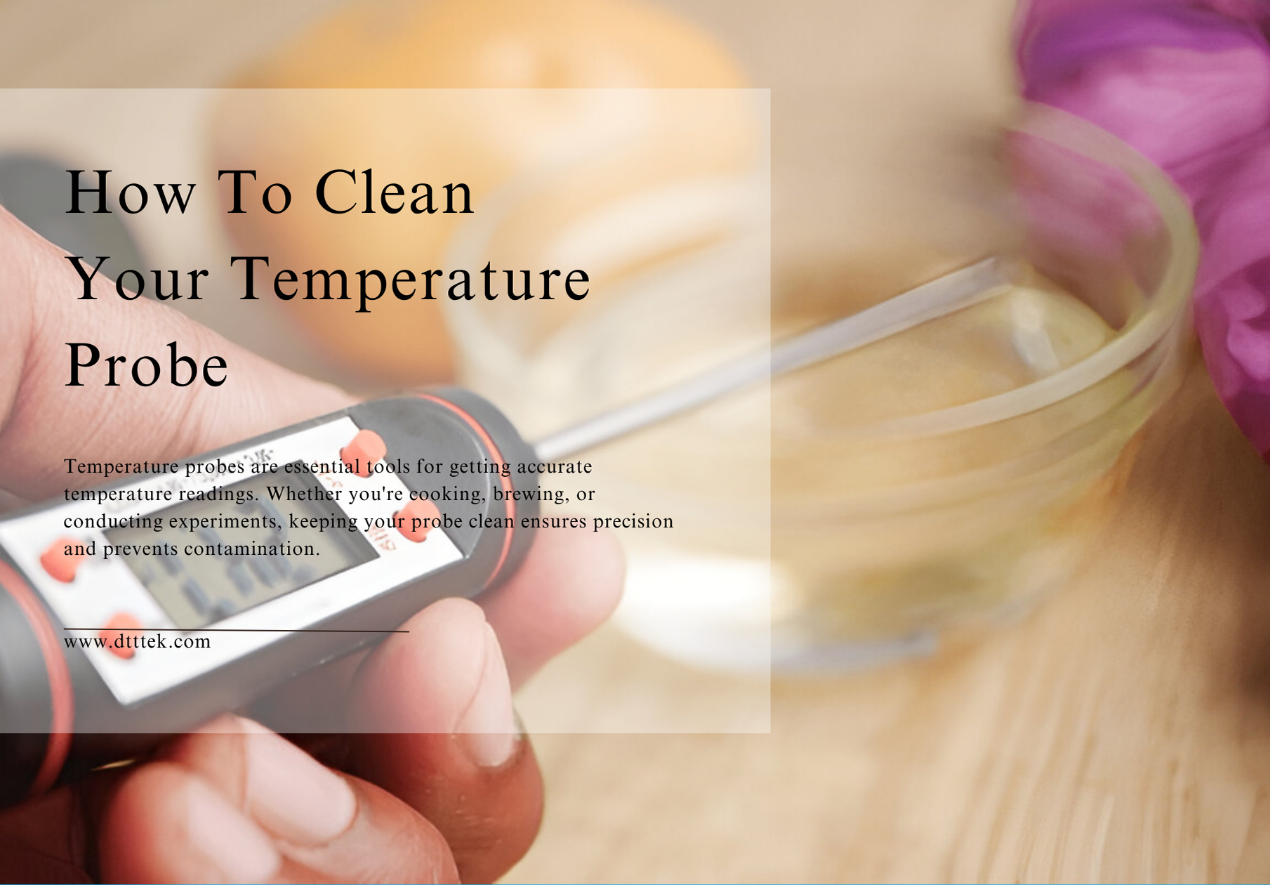 How To Clean Your Temperature Probe - DTTTEK